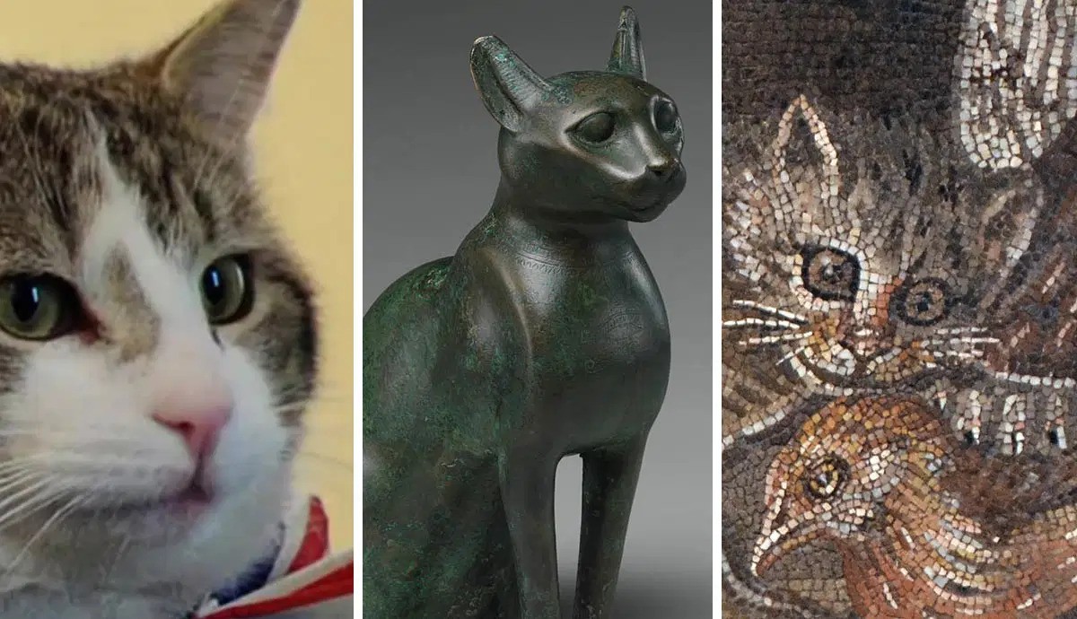 history-of-cats-egyptian-bastet-pompeii-ezgif.com-webp-to-jpg-converter ...